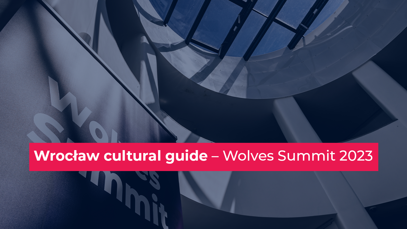 Wolves Summit | Startups & Investors Tech Festival May 23th-25th